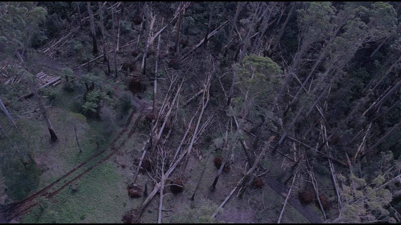 Yarra Ranges Storm Recovery - YouTube