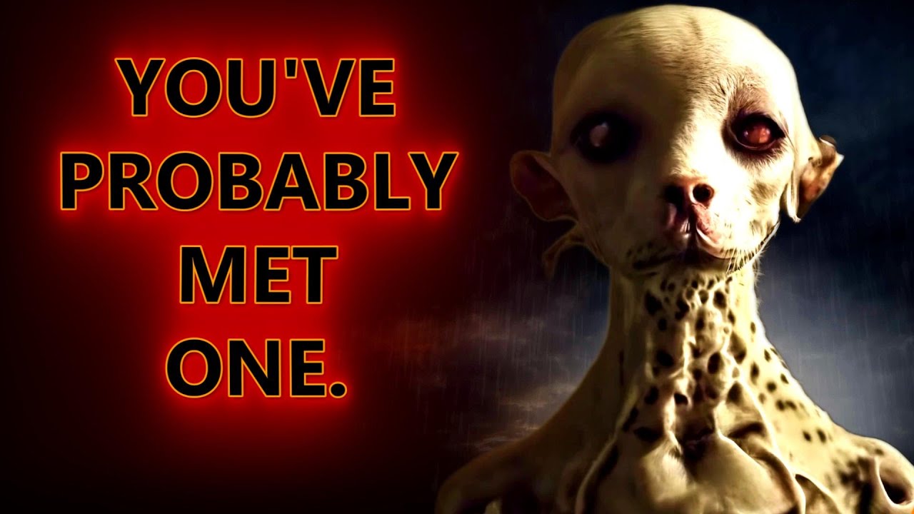 Skinwalker Stories The Werewolf Witches of Legend - YouTube