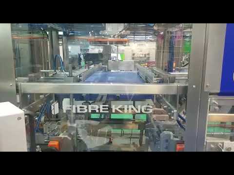 Top Load RSC Case Packer - Biscuit Cartons - YouTube