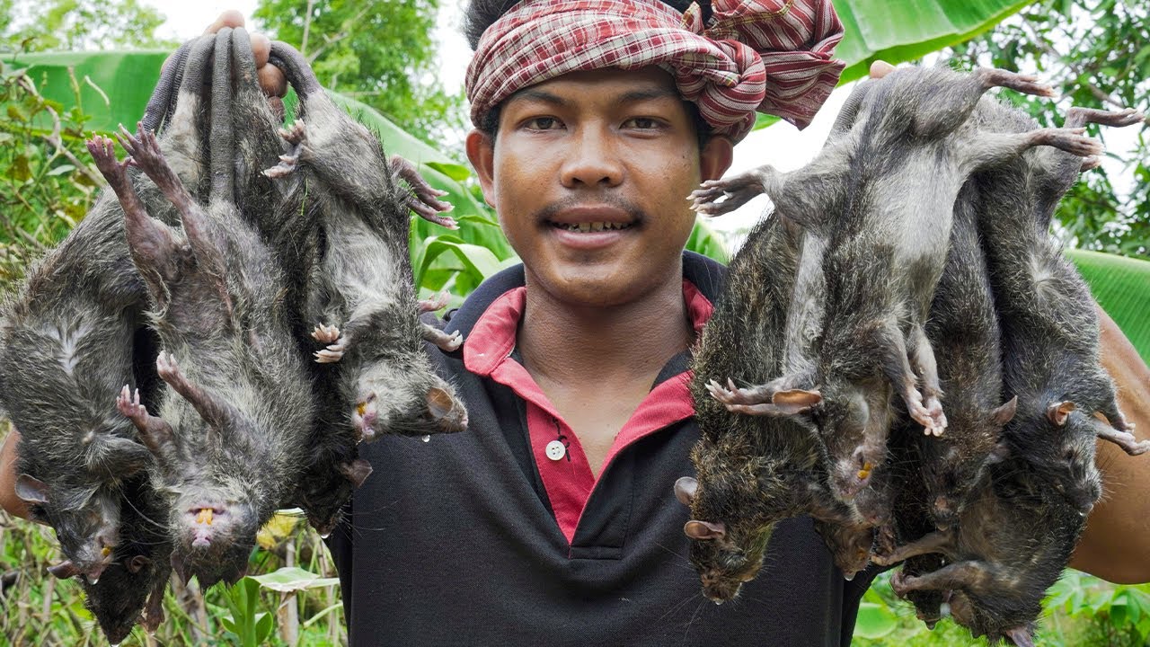 NATURAL RATS IN FOREST BUT VERY DELICIOUS EATING / COOKING AND EATING ...