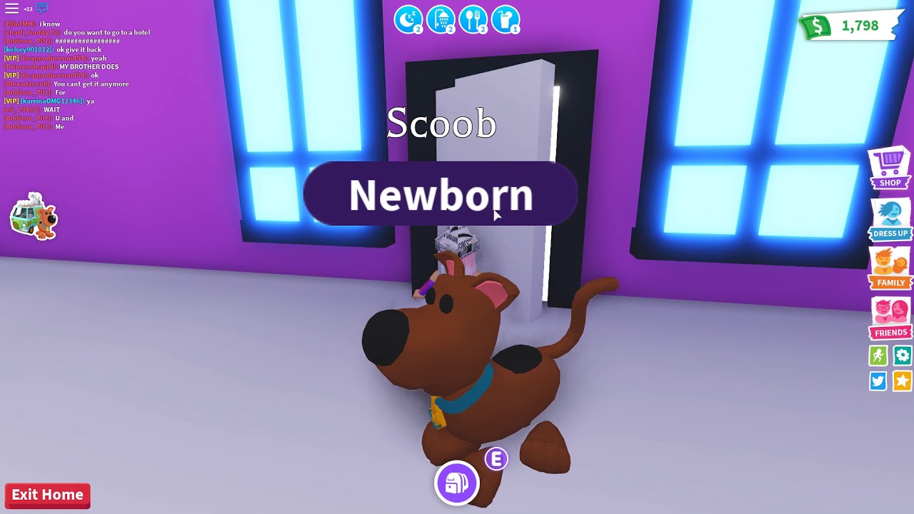 How to get Scoob pet in Adopt me on Roblox and also drive the Mystery ...