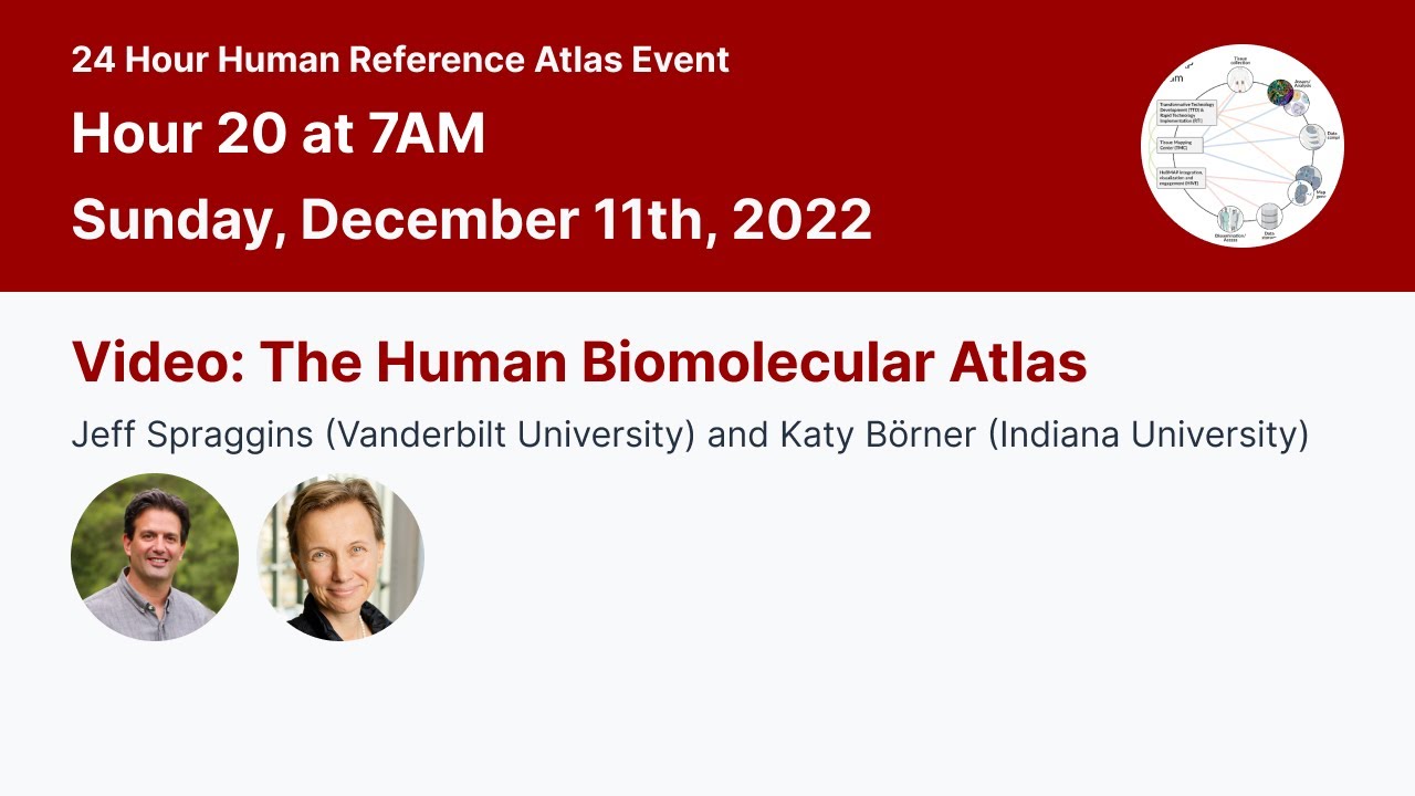 24 Hour Human Reference Atlas Event - Hour 20 - Video: The Human ...