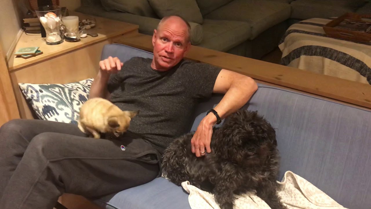 Is Paul Rugg's Chihuahua, Lucky, learning to be sweet? - YouTube