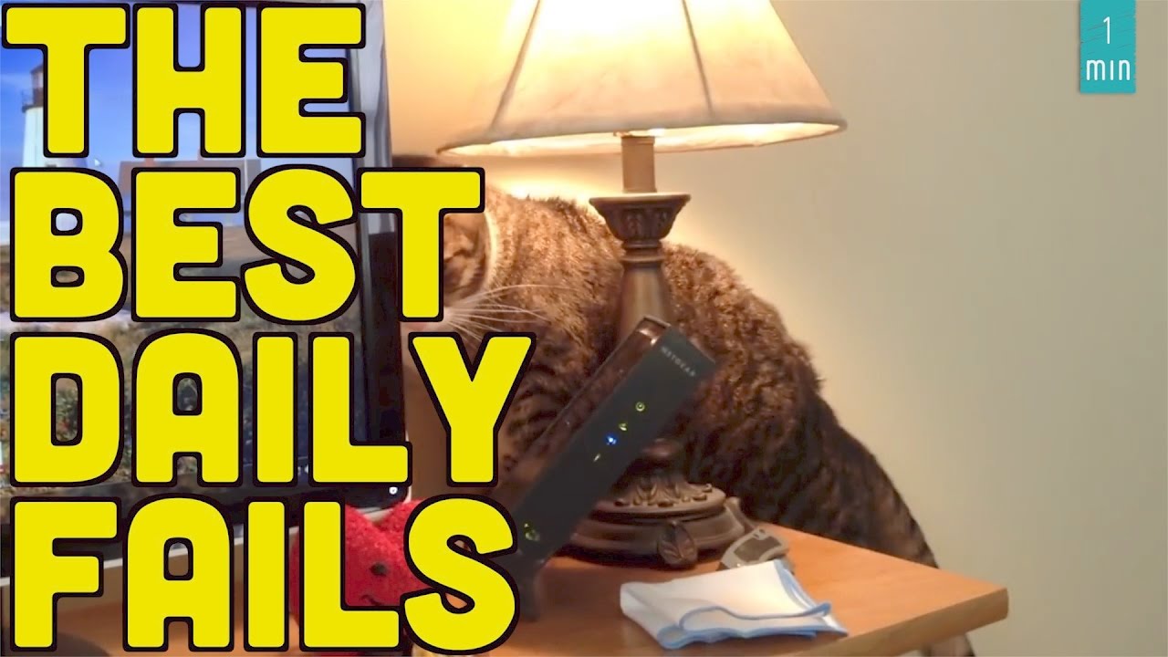 THE BEST DAILY FAIL COMPILATION 331 - YouTube