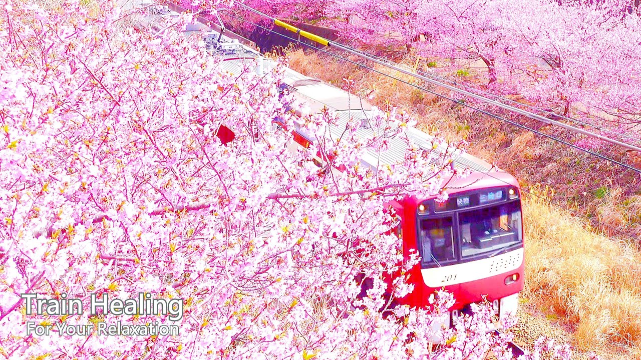 (DIGEST) [Train Healing] No.35 Miura-kaigan Station, Kanagawa, Japan ...