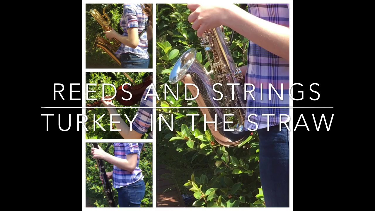 Turkey in the Straw - Cover by Reeds and Strings - YouTube
