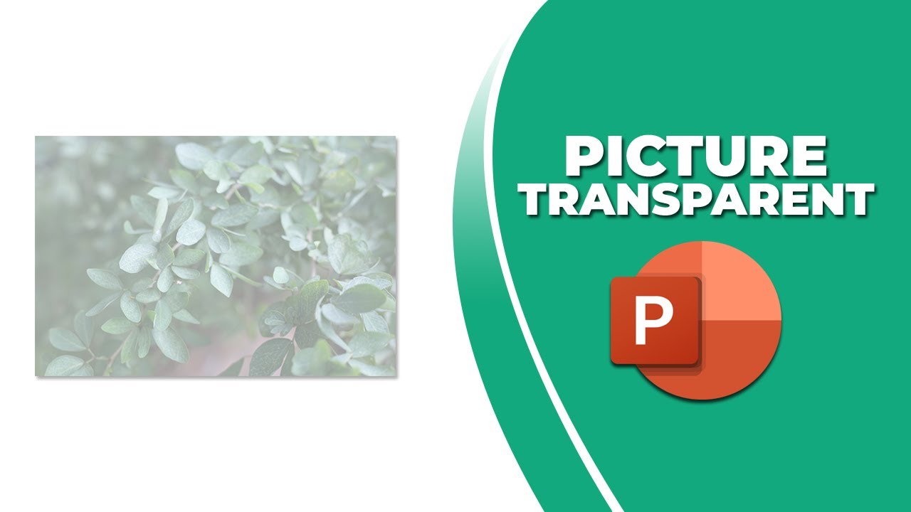how to make a picture transparent in PowerPoint PPT windows - YouTube