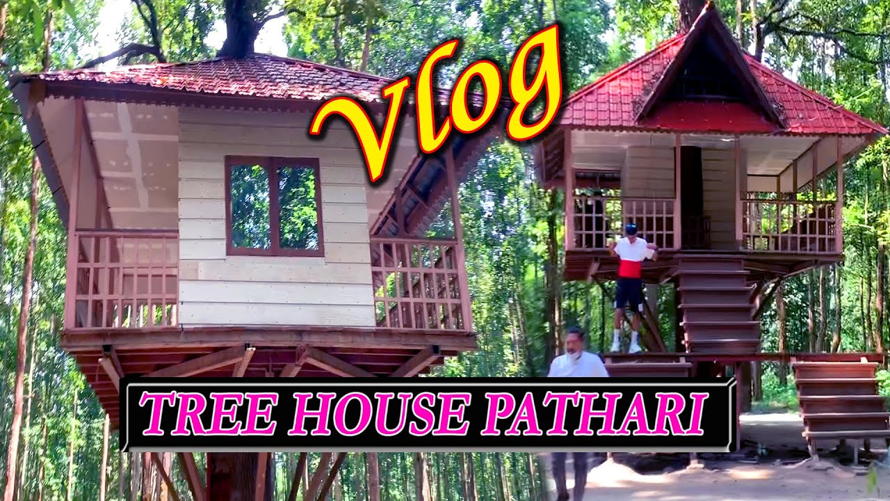 Pathari Morang Tree House First Vlog || pathari katuse tree house vlog ...