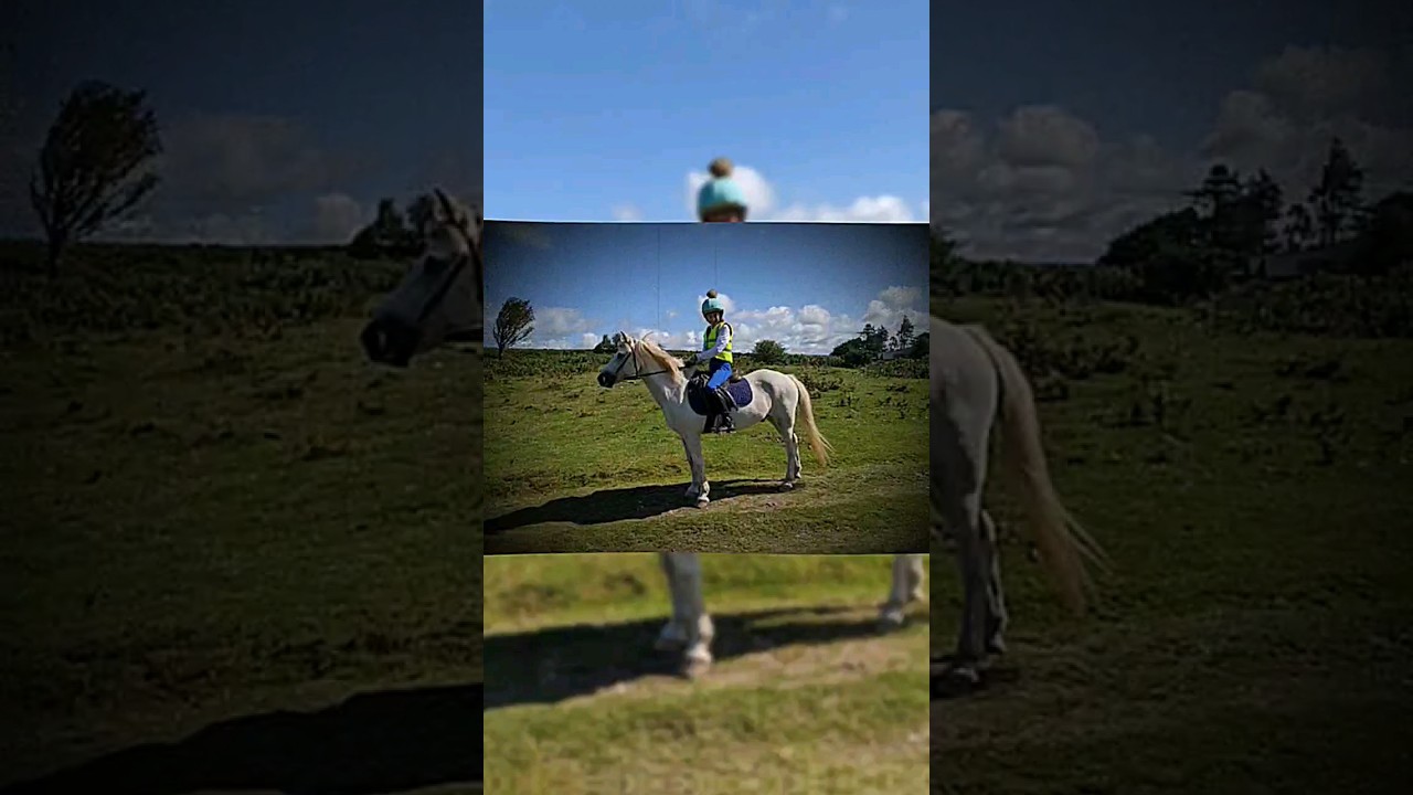 la da da da da da da la da da da - YouTube