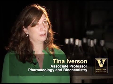 Tina Iverson Full Interview - YouTube