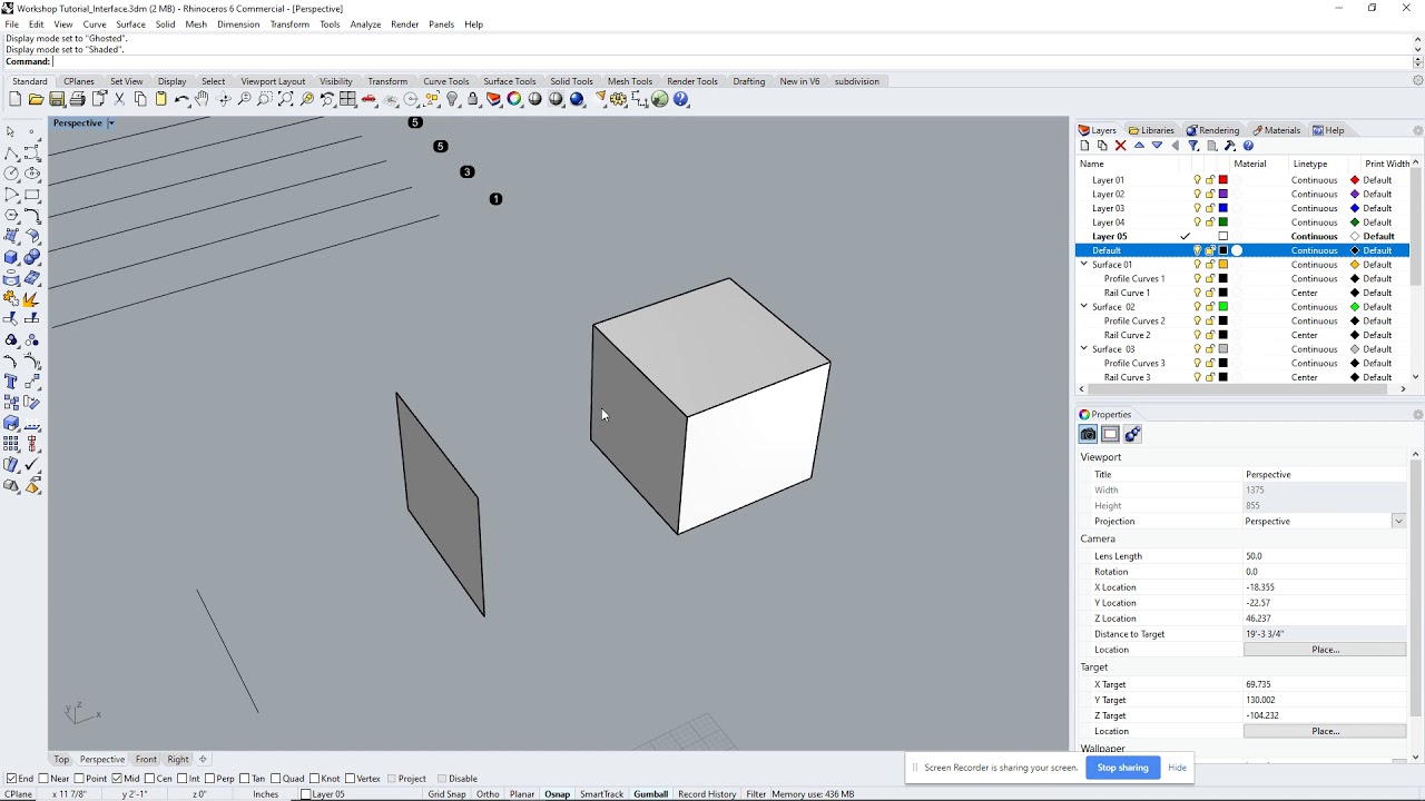 Rhino Interface Tutorial - YouTube