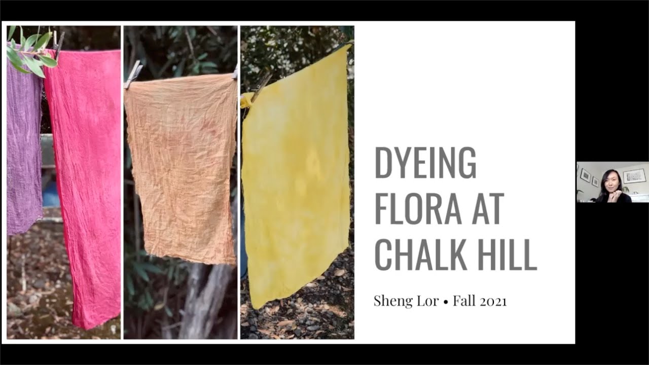 Dyeing Flora: Artist Talk with Fiber Artist Sheng Lor - YouTube