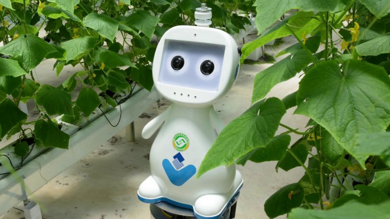 5G-enabled farming Robot launched in east China - YouTube