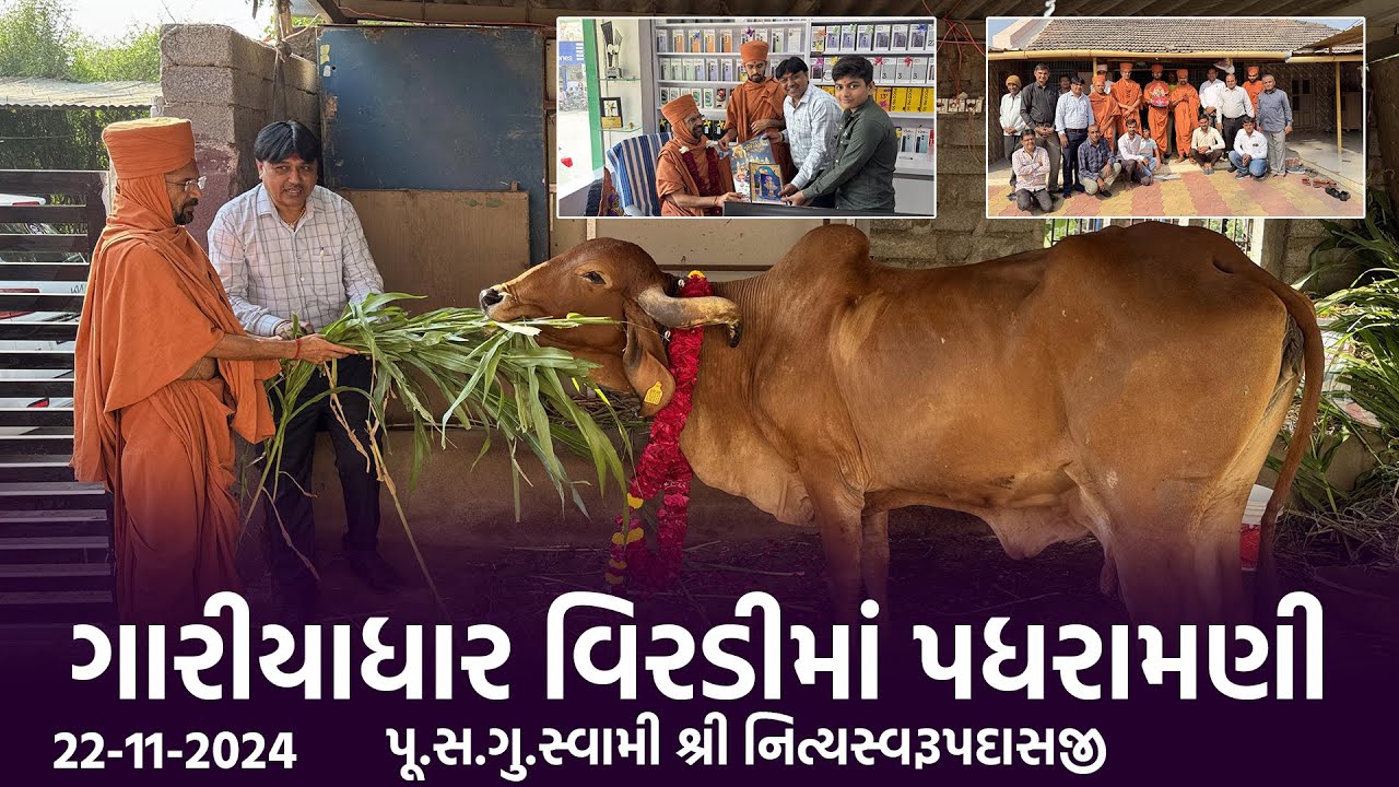Gariyadhar - Viradi Padharamani || 22-11-2024 || ગારીયાધાર વિરડી ...