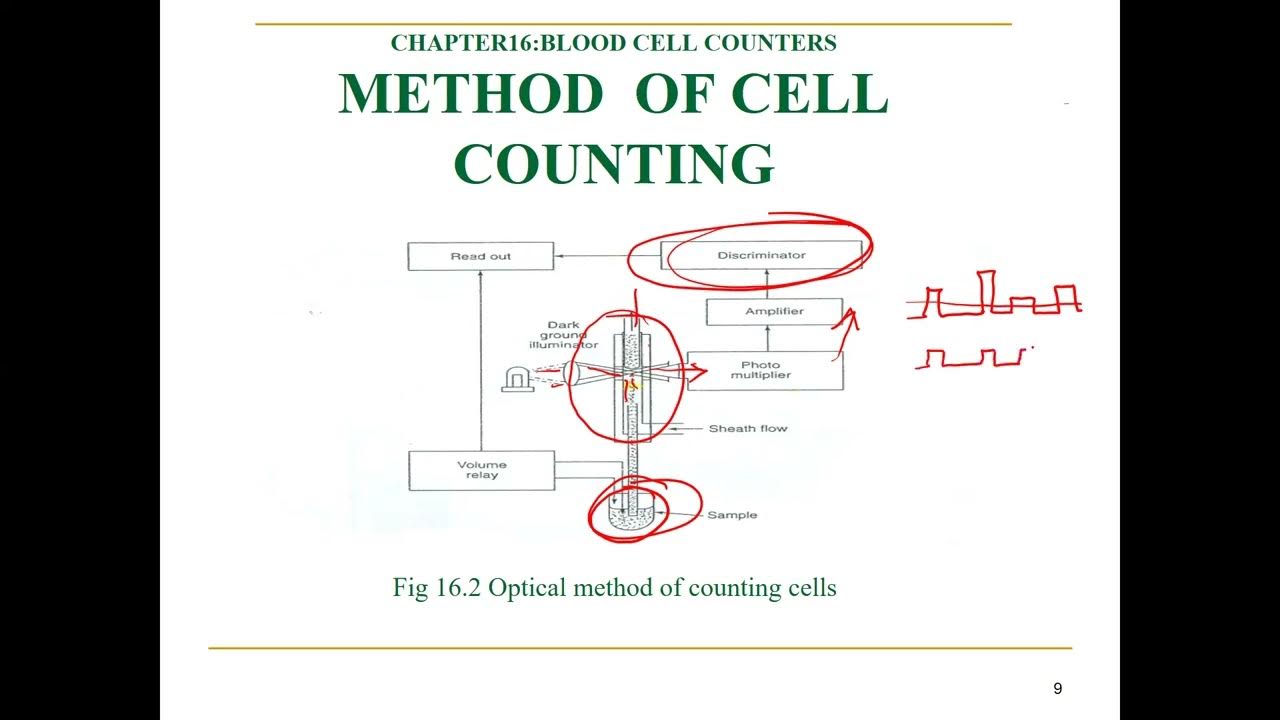 Week 6 Lecture 3 - YouTube