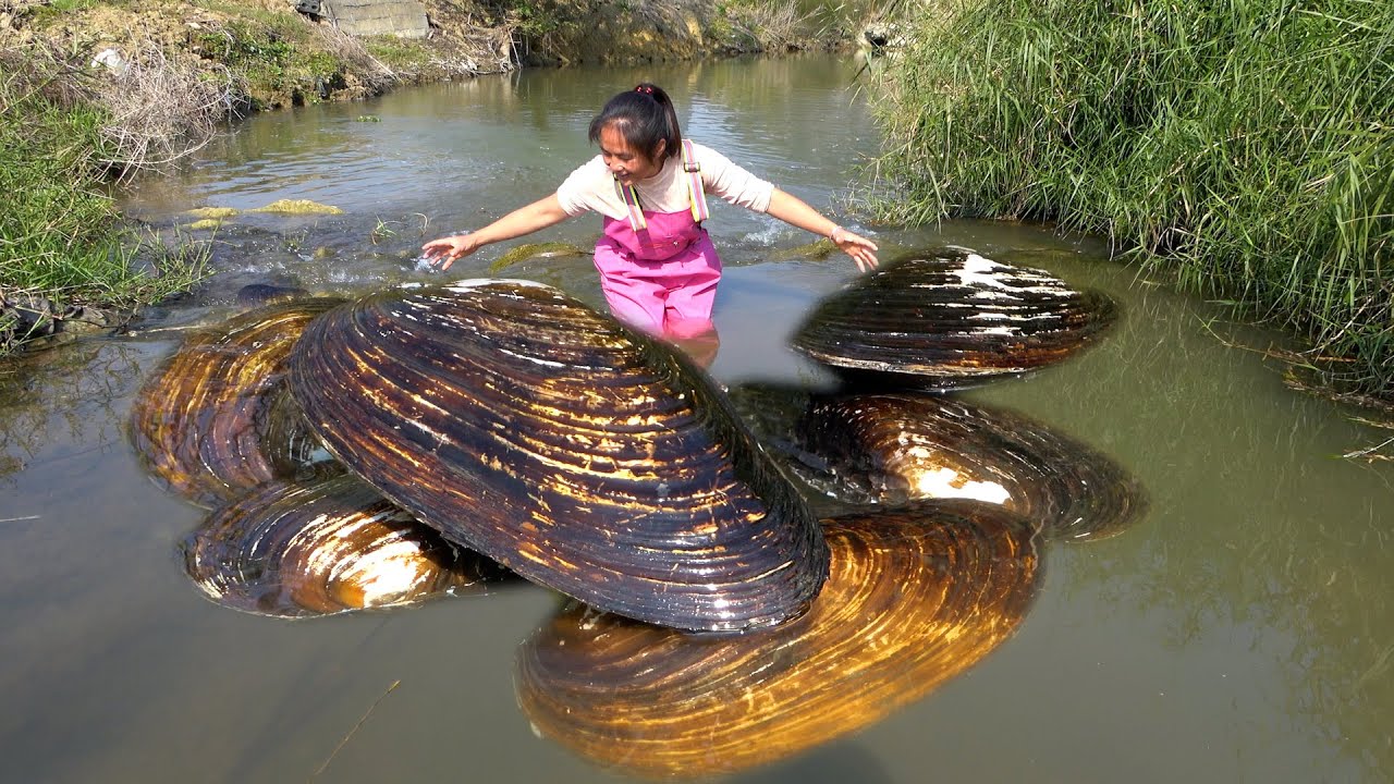 With so many big clams, thinking of the numerous pearl beauties ...
