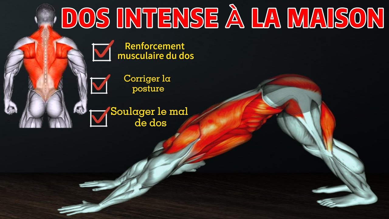 10 Exercices pour un dos Large et puissant| RENFORCEMENT MUSCULAIRE DU ...