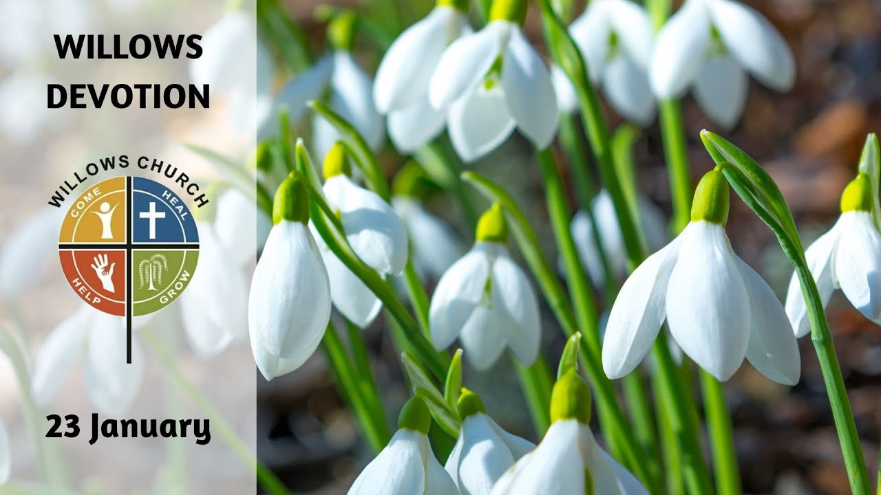 Willows Devotion - Philippians 3 - YouTube