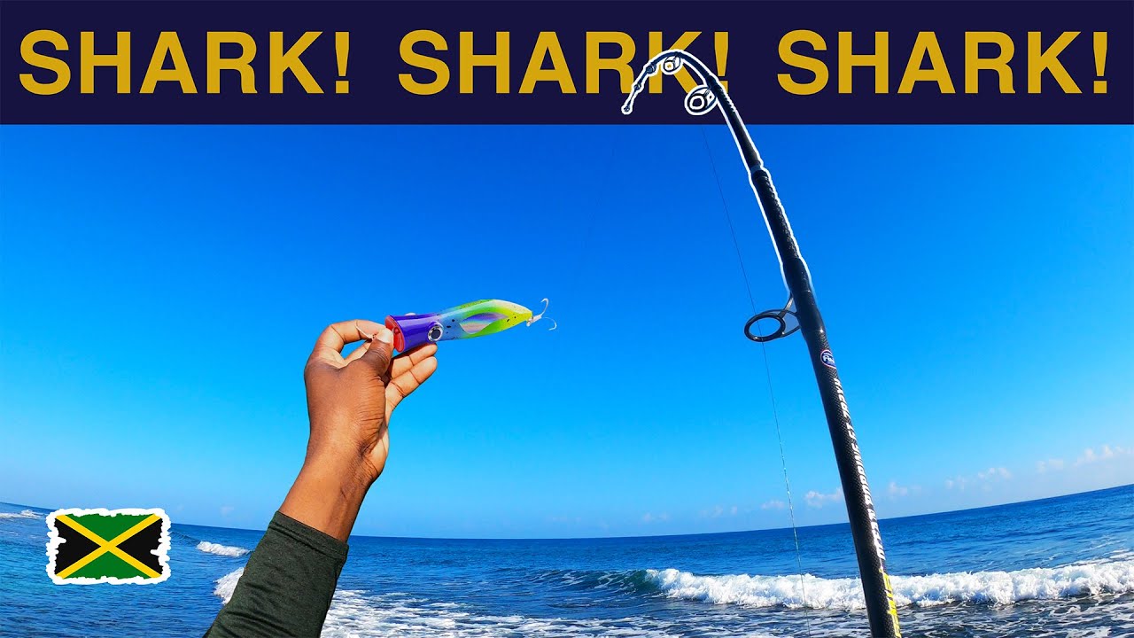 Giant Shark Hooked on Popper! Epic Fishing Battle! - YouTube