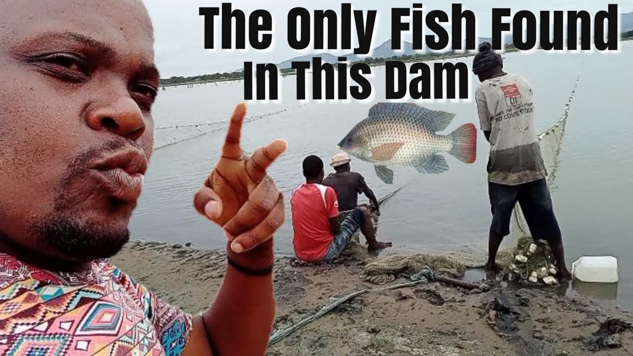 Hombolo's Dam(Dodoma) || Masaki Vlogs - YouTube