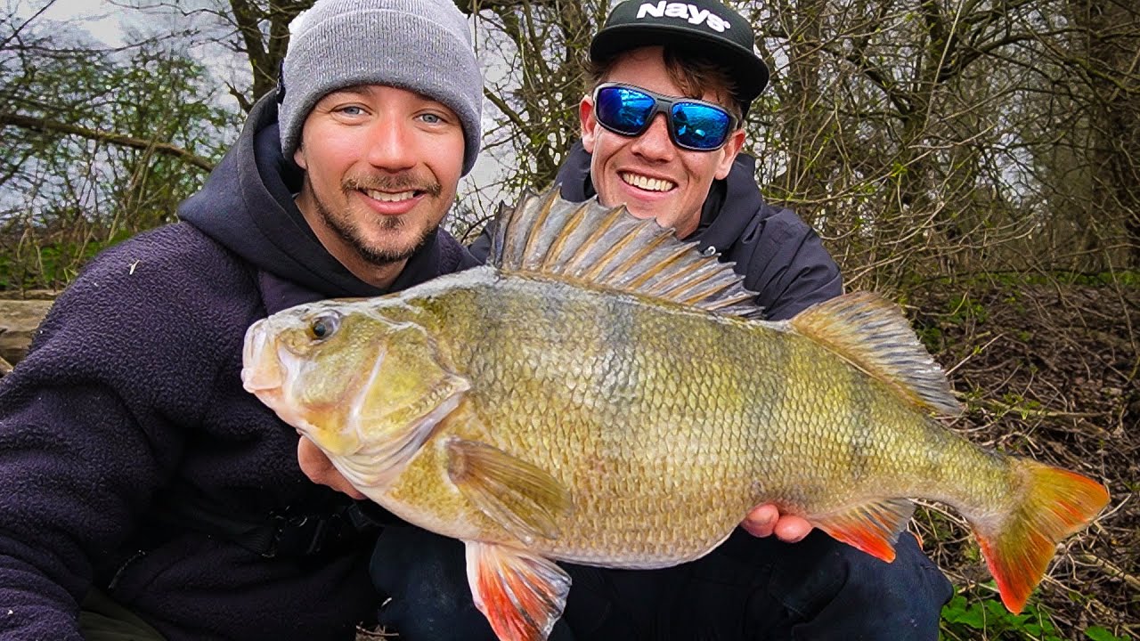 IK VANG DE GROOTSTE BAARS VAN HET JAAR!!😱 - YouTube