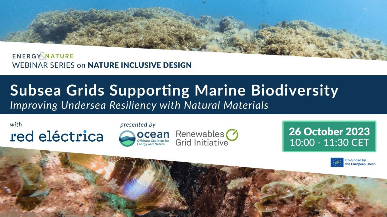 Subsea Grids Supporting Marine Biodiversity: NID Webinar #3 - YouTube
