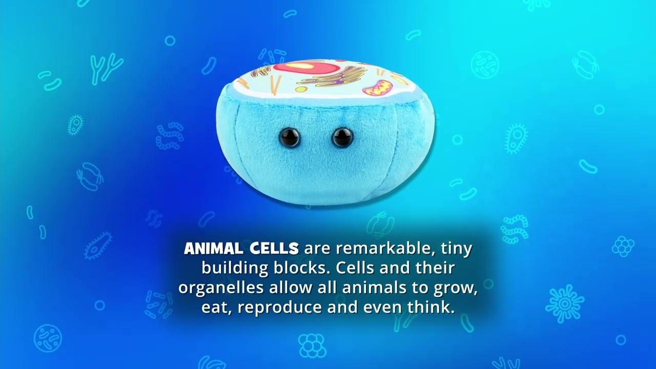 GIANTmicrobes Animal Cell Plush - YouTube