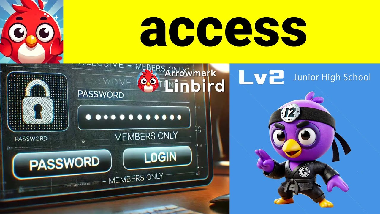 Access: Meaning, Pronunciation, Definition in American & British ...