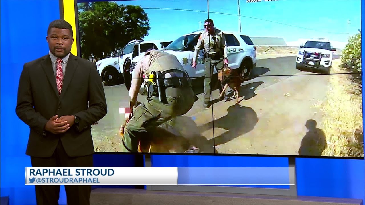 KCSO K9 gets loose, attacks man during traffic stop - YouTube