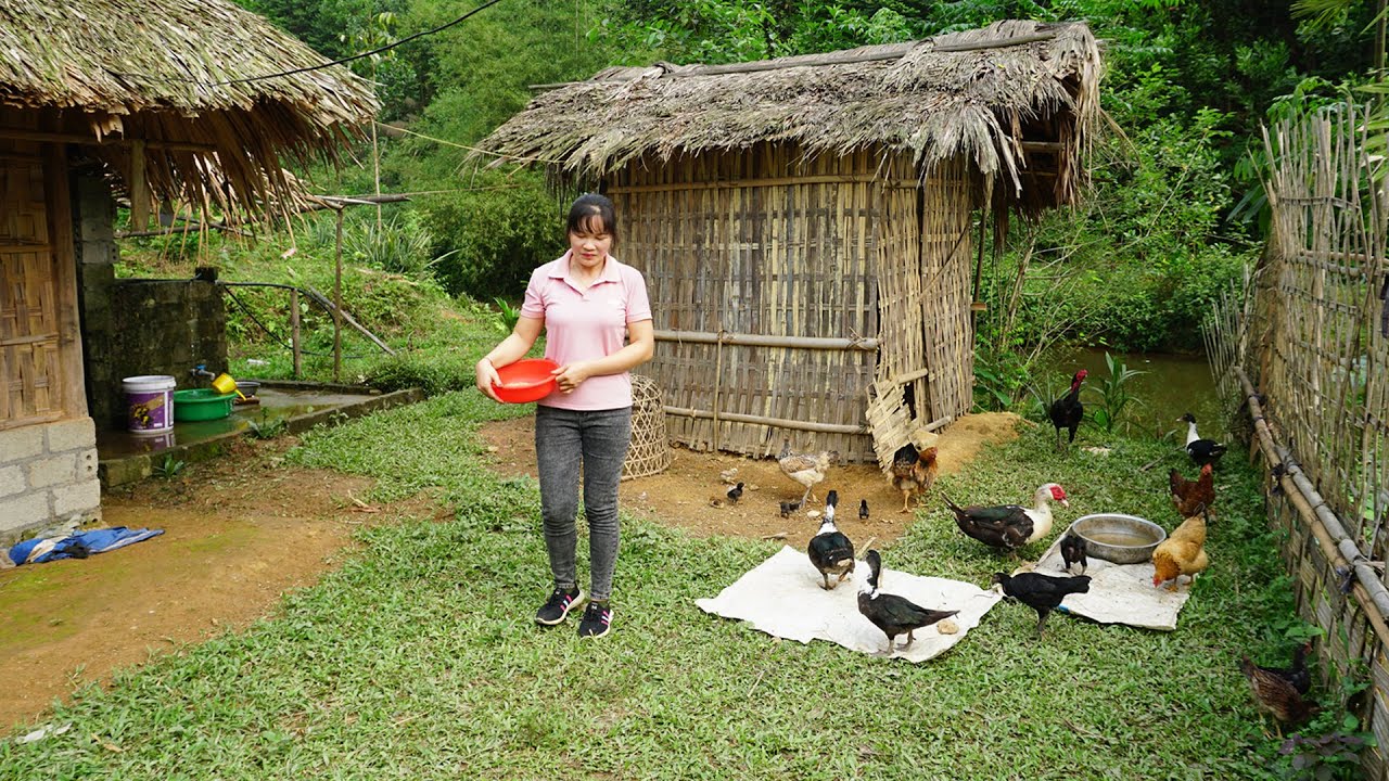 Daily work on the farm, fishing and cook frugal lunch - Farm Daily Life ...