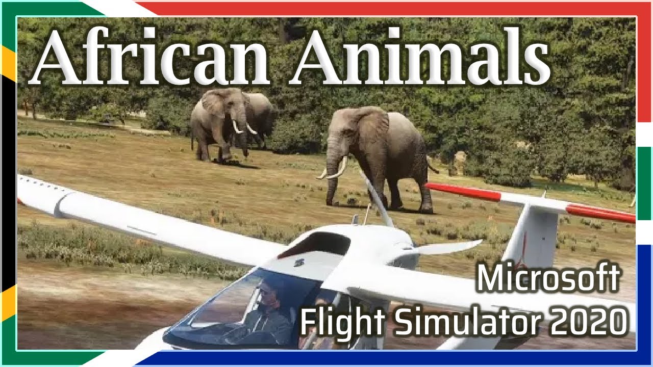Flight Simulator 2020: African Animals - 1080p HD - YouTube