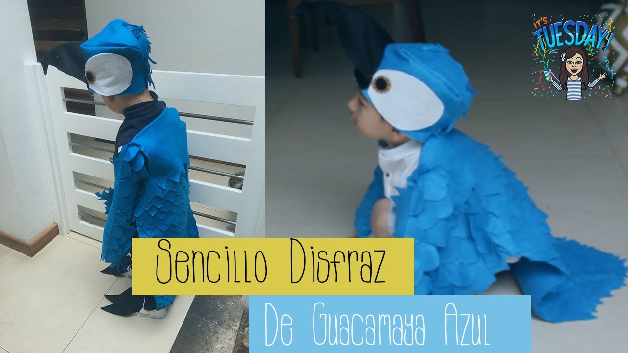 Disfraz de Guacamaya - YouTube