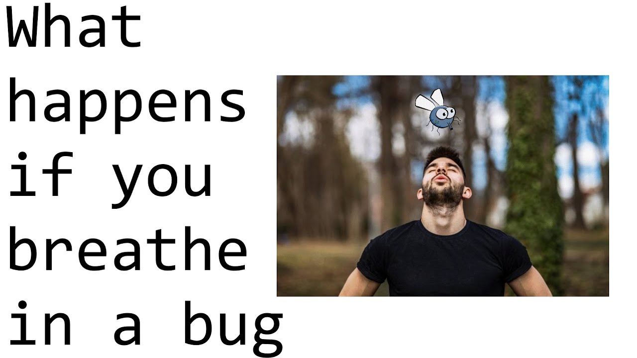 What happens if you breathe in a bug - YouTube
