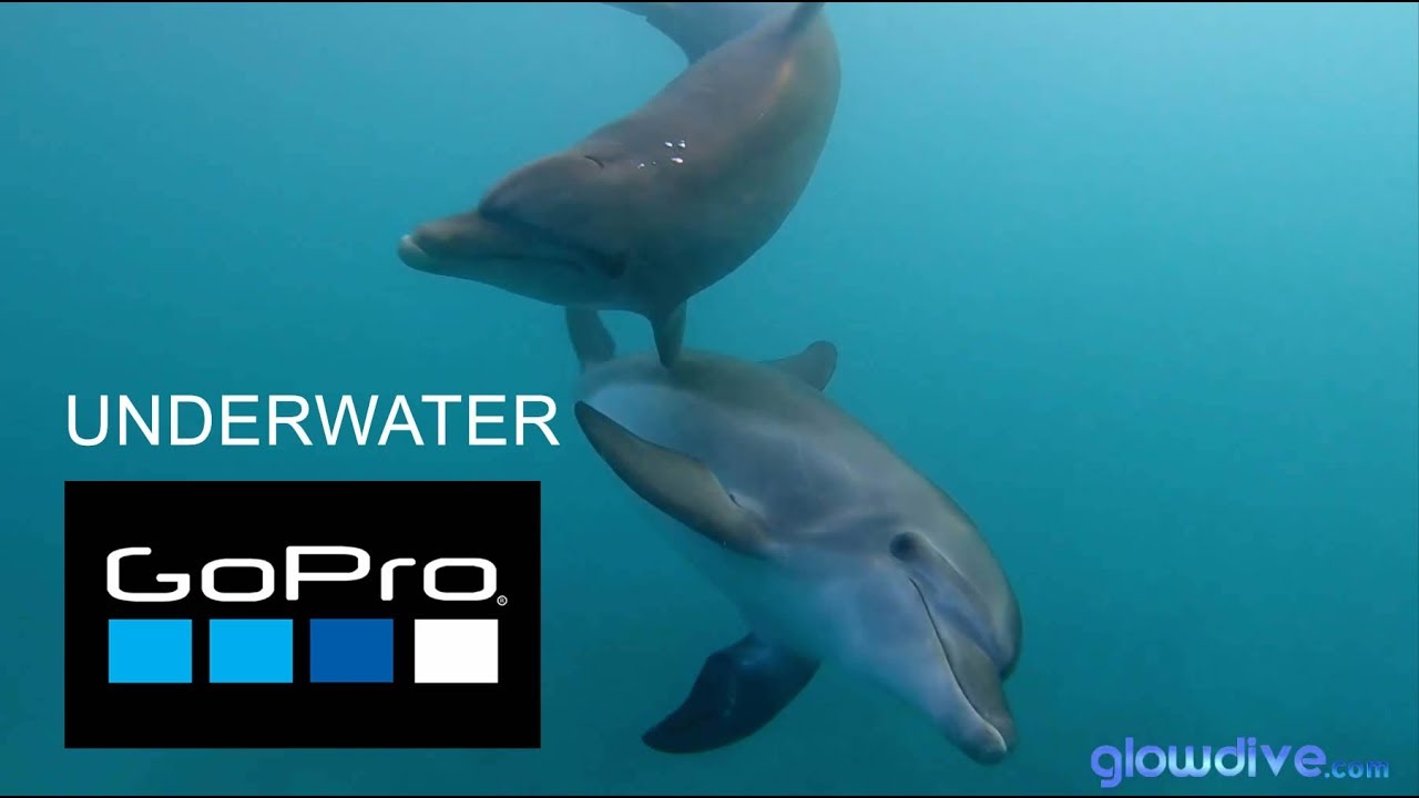 Underwater GoPro footage in the Red Sea - YouTube