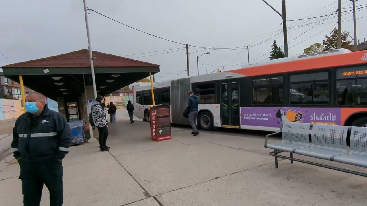 MiWay & TTC Buses at Long Branch Loop - YouTube