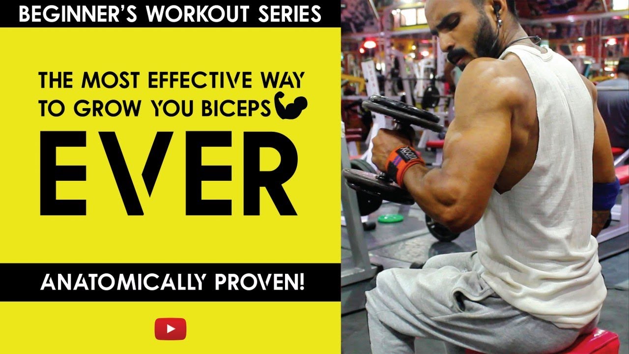 HOW TO GROW BICEPS |FASTER & EFFECTIVE| Beginner's workout series - YouTube