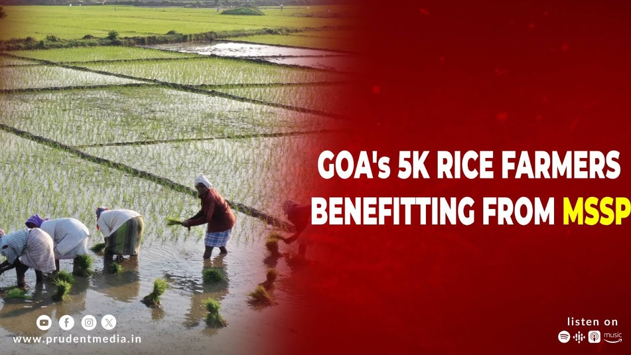 GOA's 5K RICE FARMERS BENEFITING FROM MSP - YouTube