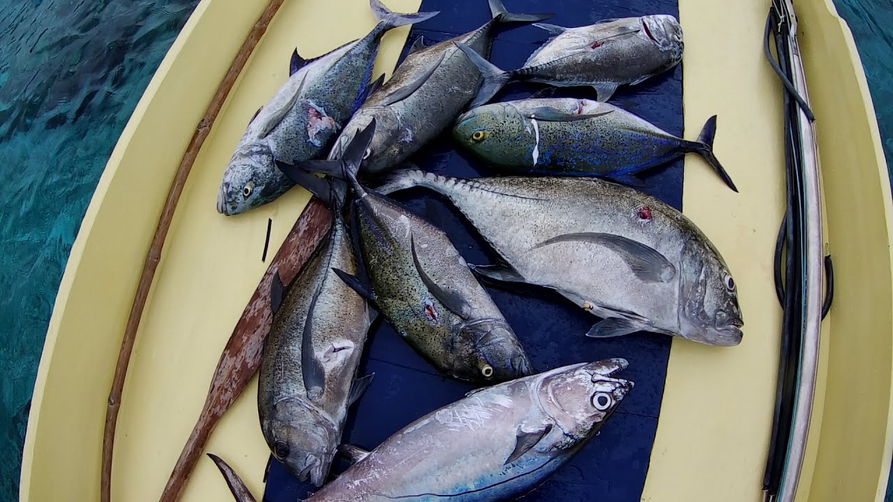 MANTAP KAWAN SPOT NYA MASIH AMAN DENGAN IKAN IKANNYA BOBARA YANG SELALU ...
