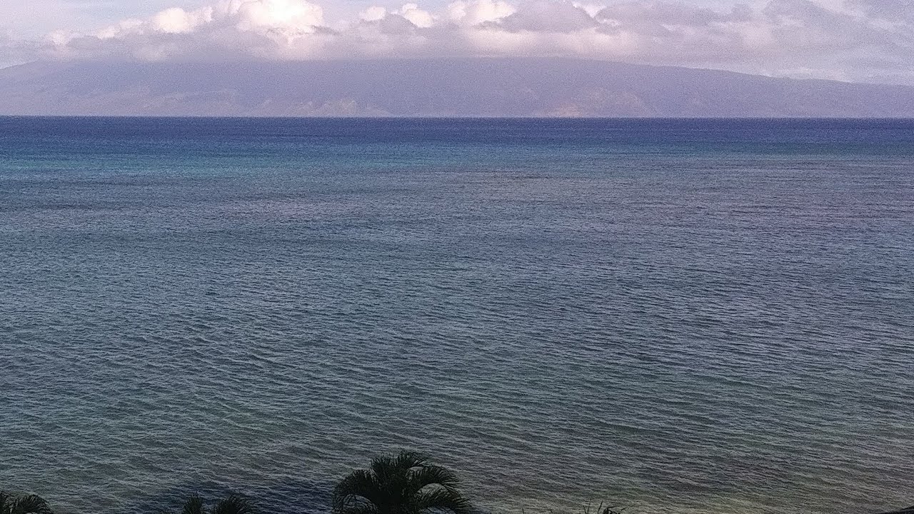 HAWAII LIVE, A BEAUTIFUL MAUI DAY ...WEB CAM. Relax and enjoy. .All ...