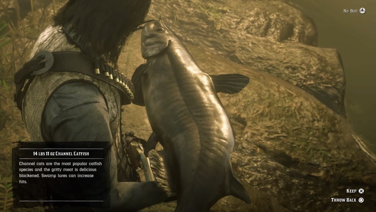 giant channel catfish ,Red Dead Redemption 2 - YouTube