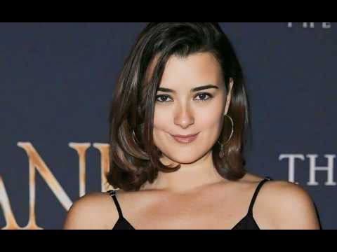 Cote de Pablo🔥 Stockings, Tights, Nylon, Lingerie, Bodysuit, Mini Skirt Fans Can't Stop Watching