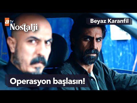 Zülfü yola Siraç'la devam ediyor 💥 - Beyaz Karanfil 4. Bölüm