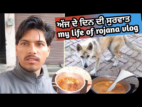ਅੱਜ ਦਿਨ ਦੀ ਸੁਰਵਾਤ my life of rojana vlog @safarsang - YouTube