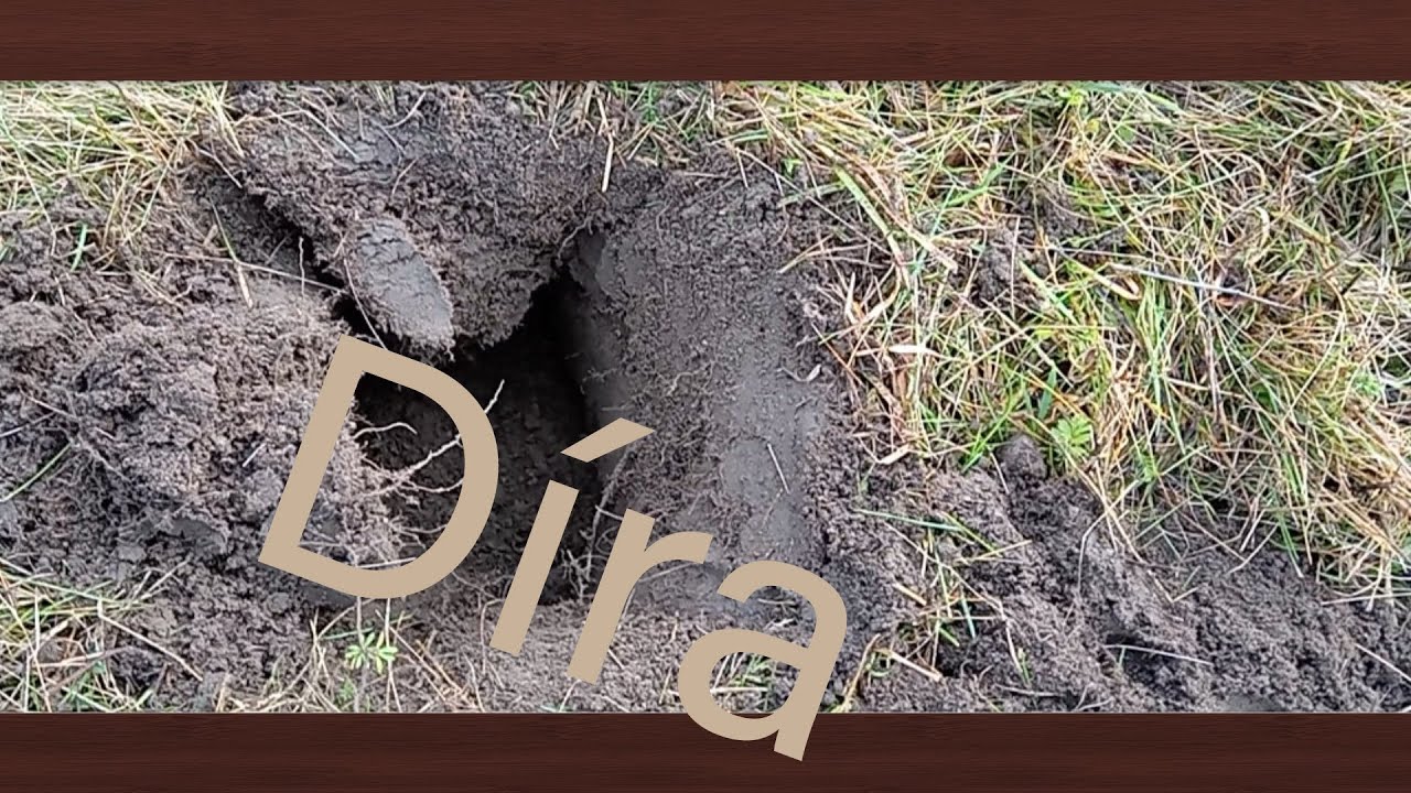 Hledání s detektorem kovu 2 - YouTube