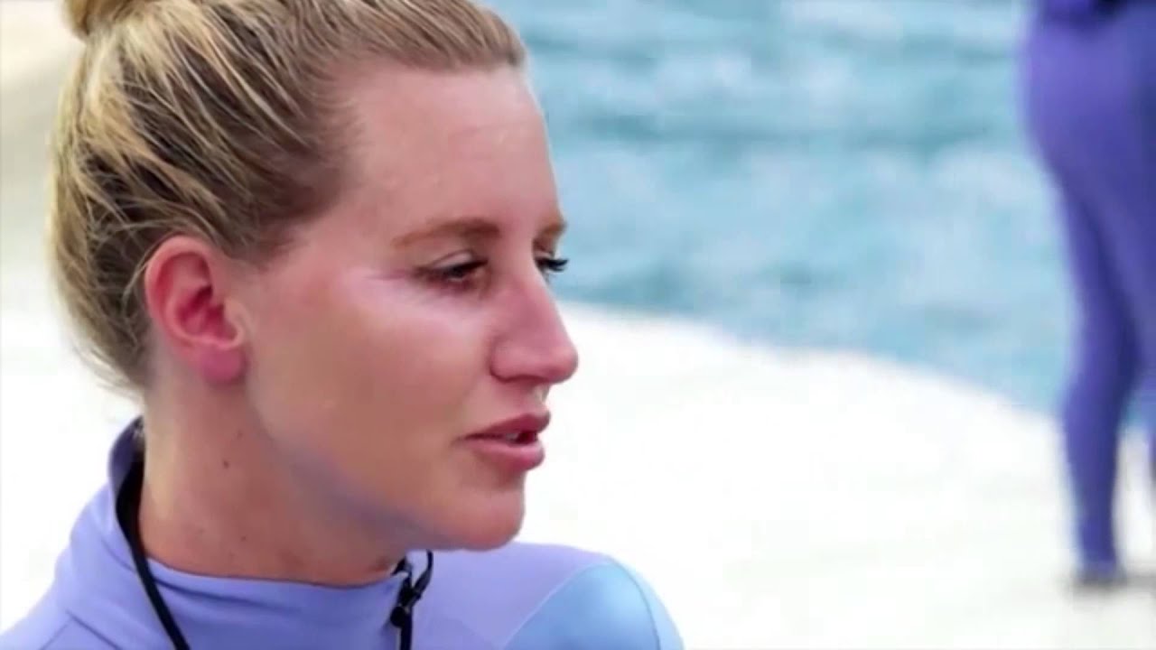 SeaWorld Trainers - YouTube