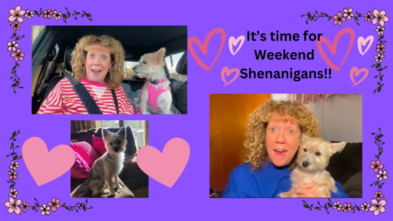 It's Time for Weekend Shenanigans #weekend #weekendshenanigans # ...
