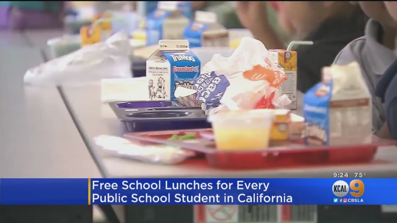 Free School Lunches For Every Public School Student In California - YouTube