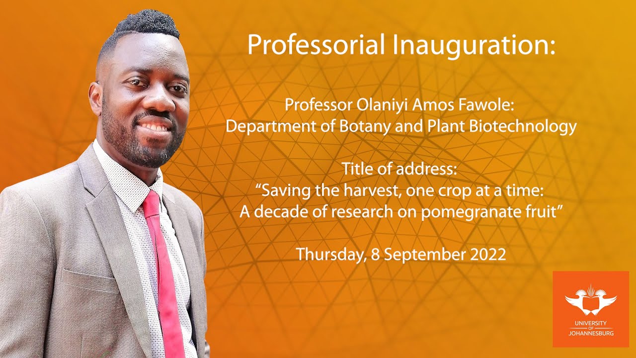 Professorial Inauguration: Professor Olaniyi Fawole | Faculty of ...