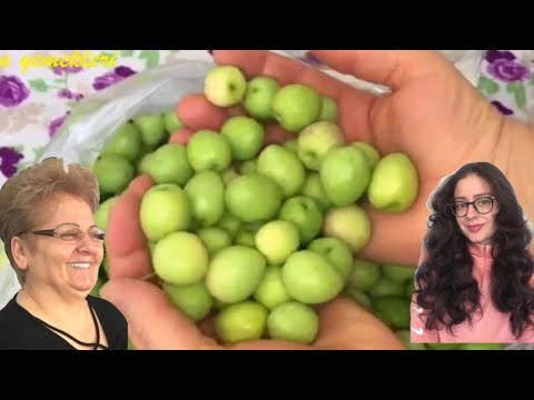 ASLA ERİMEYEN KÜTÜR ÇİZİK YEŞİL ZEYTİN TARİFİ 🫒 Tam Ölçülü Kurma & Püf Noktaları