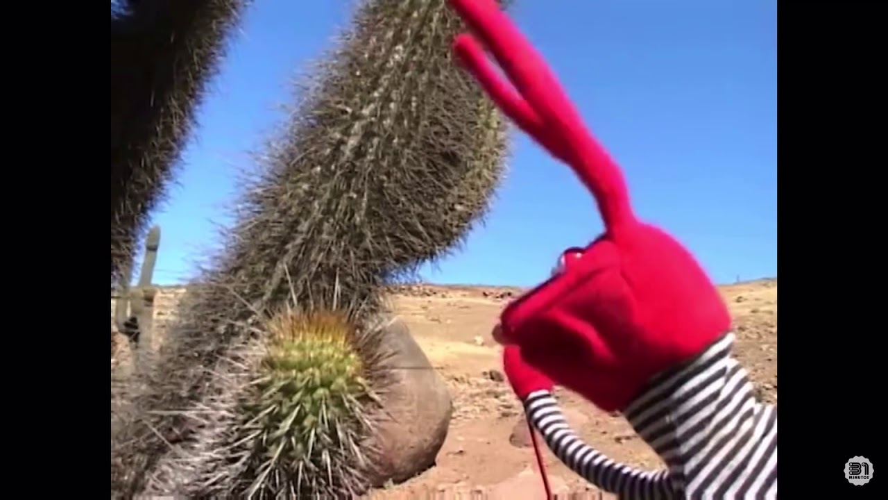 PUPPET CACTUS MEME - YouTube